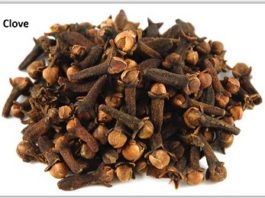 The Most Common 40 Condiments | Condiments Names With Pictures ...