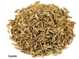 The Most Common 40 Condiments | Condiments Names With Pictures ...