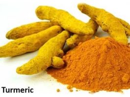 The Most Common 40 Condiments | Condiments Names With Pictures ...