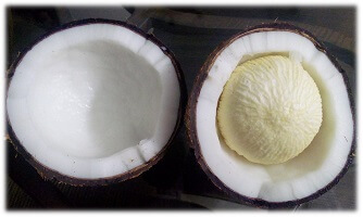 Fresh Coconut Recipes | 4 Quick Coconut Milk Dessert Recipes